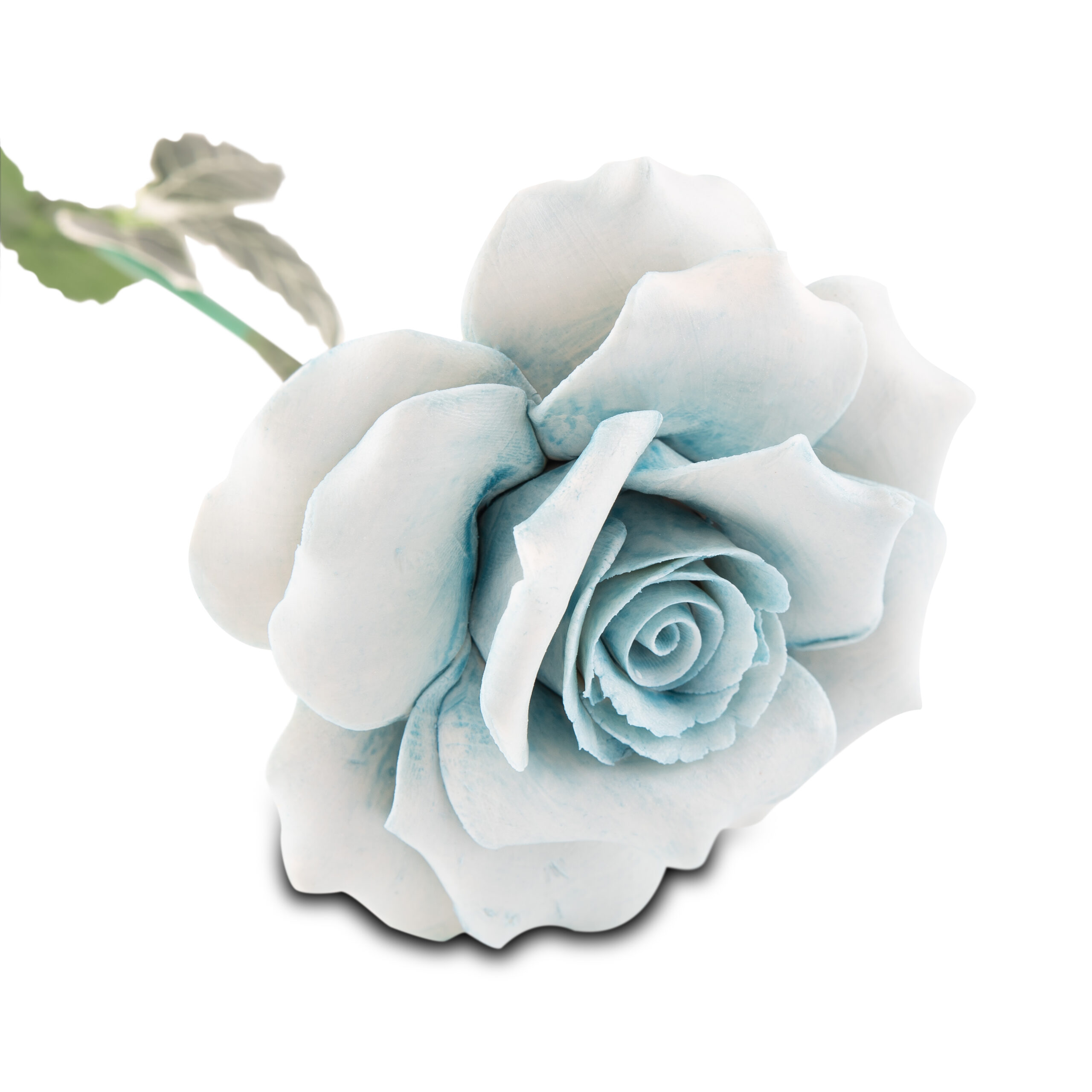 Rosa Azzurra con bocciolo grande - Funarte